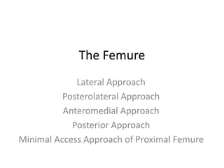 Femur approaches | PPTX
