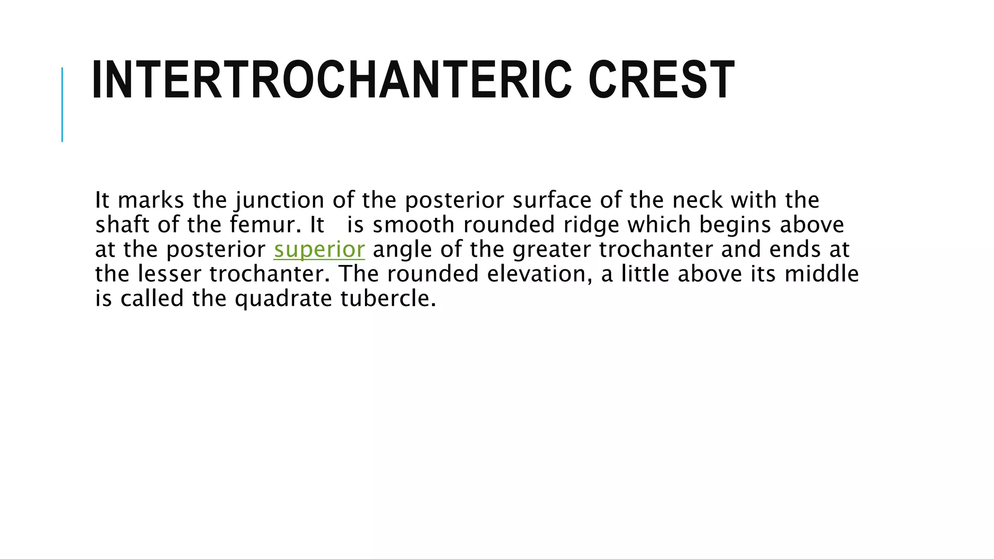 Femur bone lec3 | PPTX