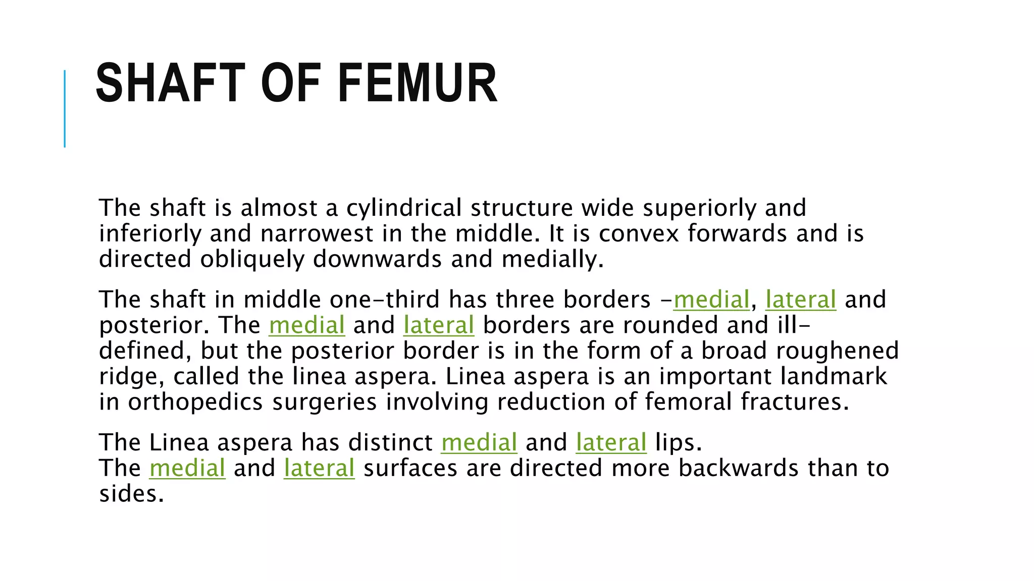 Femur bone lec3 | PPTX