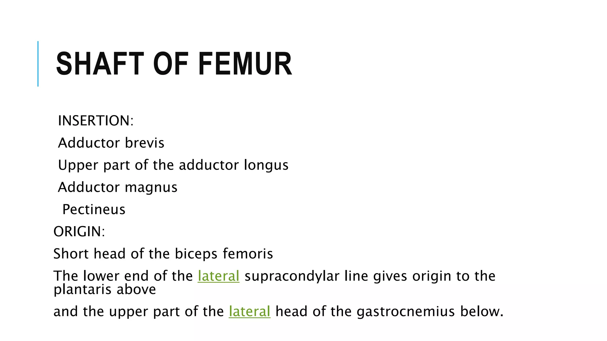 Femur bone lec3 | PPTX