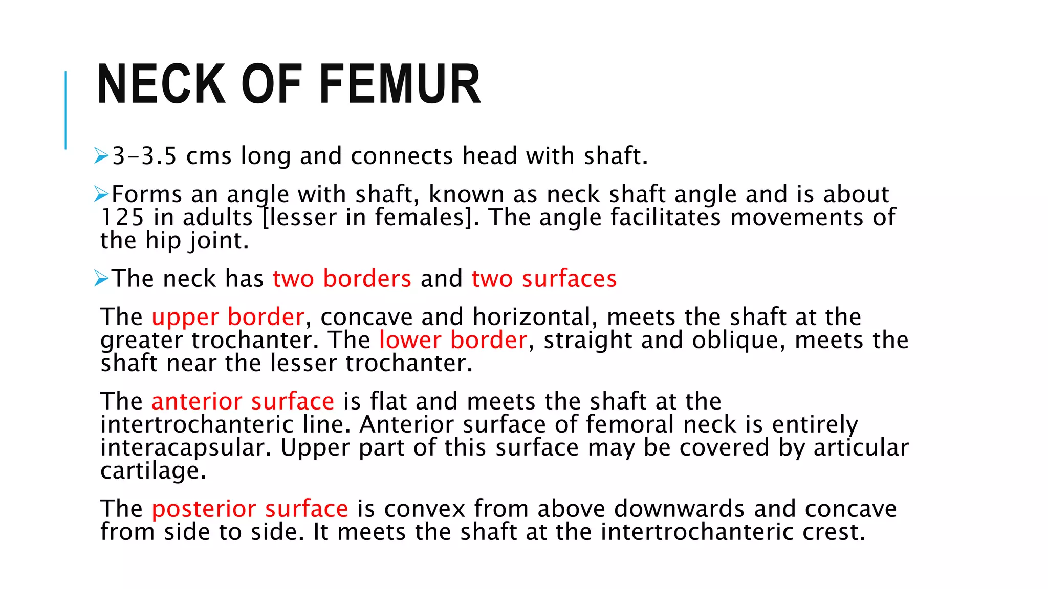 Femur bone lec3 | PPTX