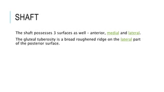 Femur bone lec3 | PPTX