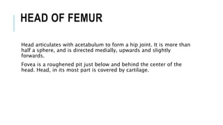 Femur bone lec3 | PPTX