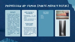 FEMUR RODILLA ROTULA. Posiciones Radiográficaspdf | PDF