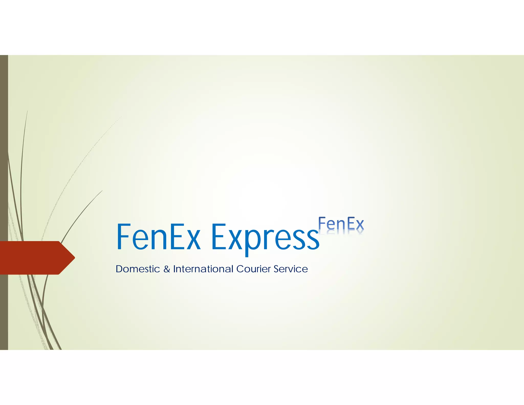 FenEx Express profile(Courier Service-Worldwide) | PDF