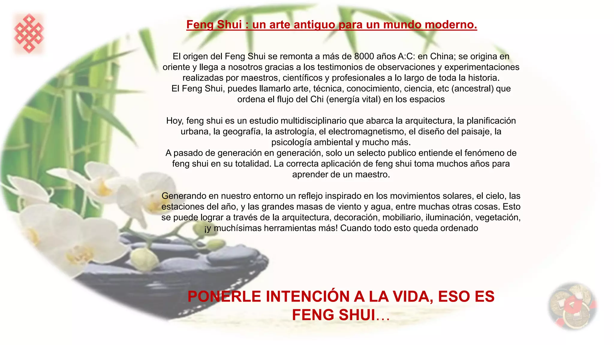 Feng shui silvia candanedo | PDF | Astrology | Religion & Spirituality