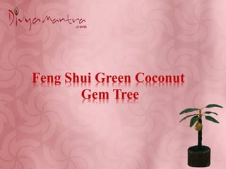 Feng shui green coconut gem tree | PPTX