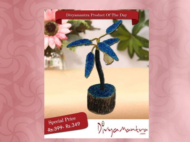 Feng shui green coconut gem tree | PPT