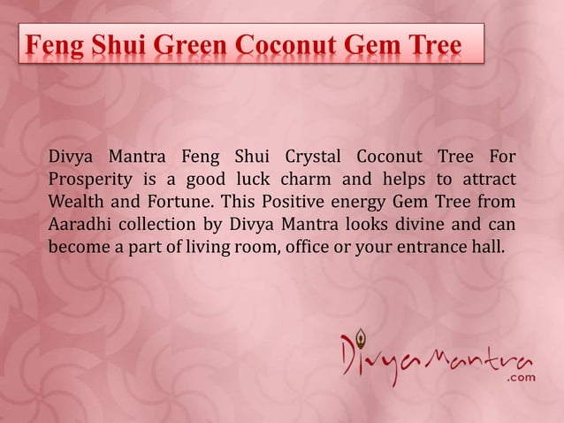 Feng shui green coconut gem tree | PPT