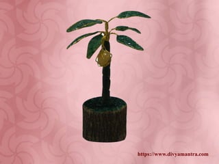 Feng shui green coconut gem tree | PPTX