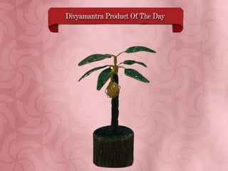 Feng shui green coconut gem tree | PPTX