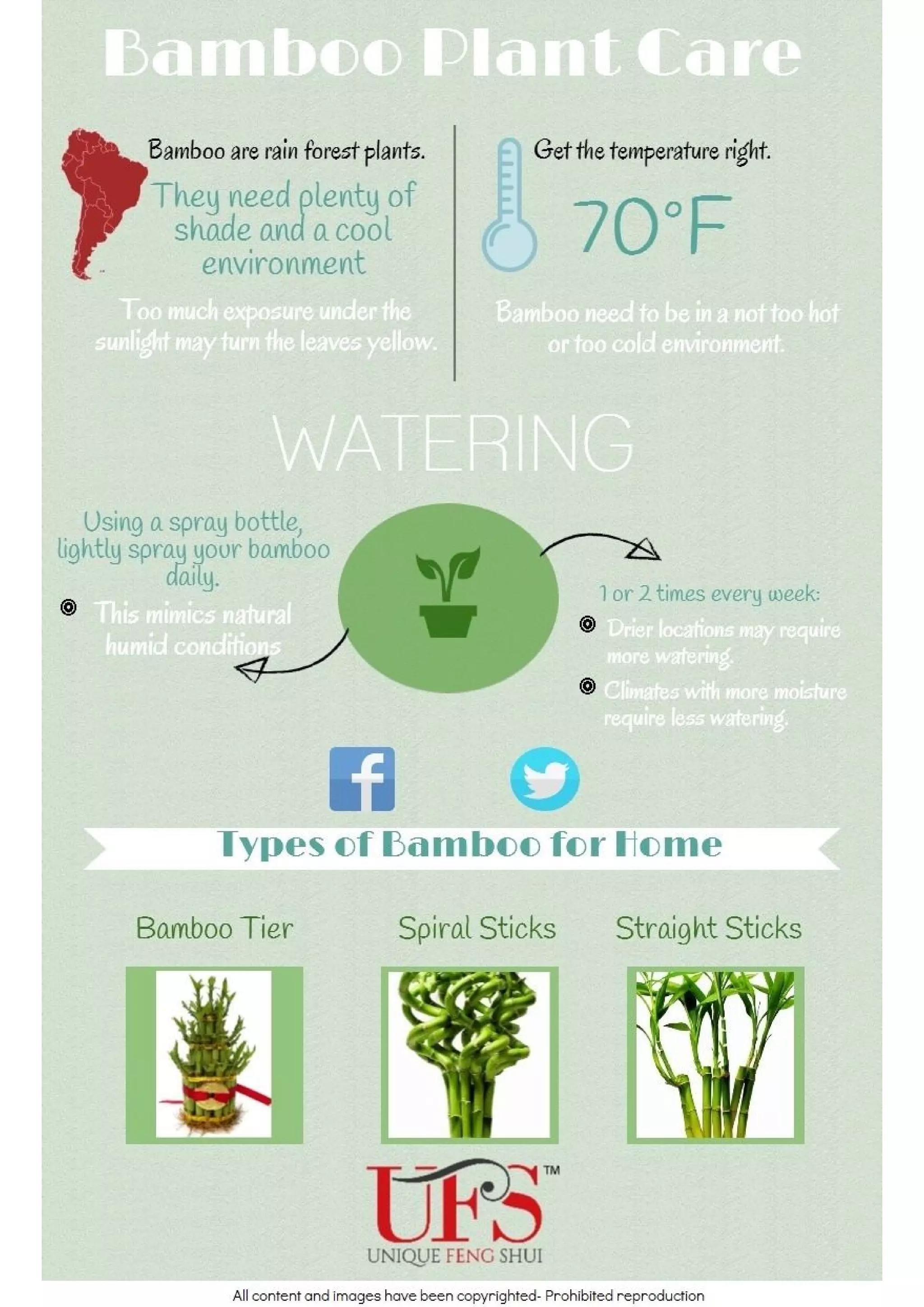 Feng shui lucky bamboo care | PDF