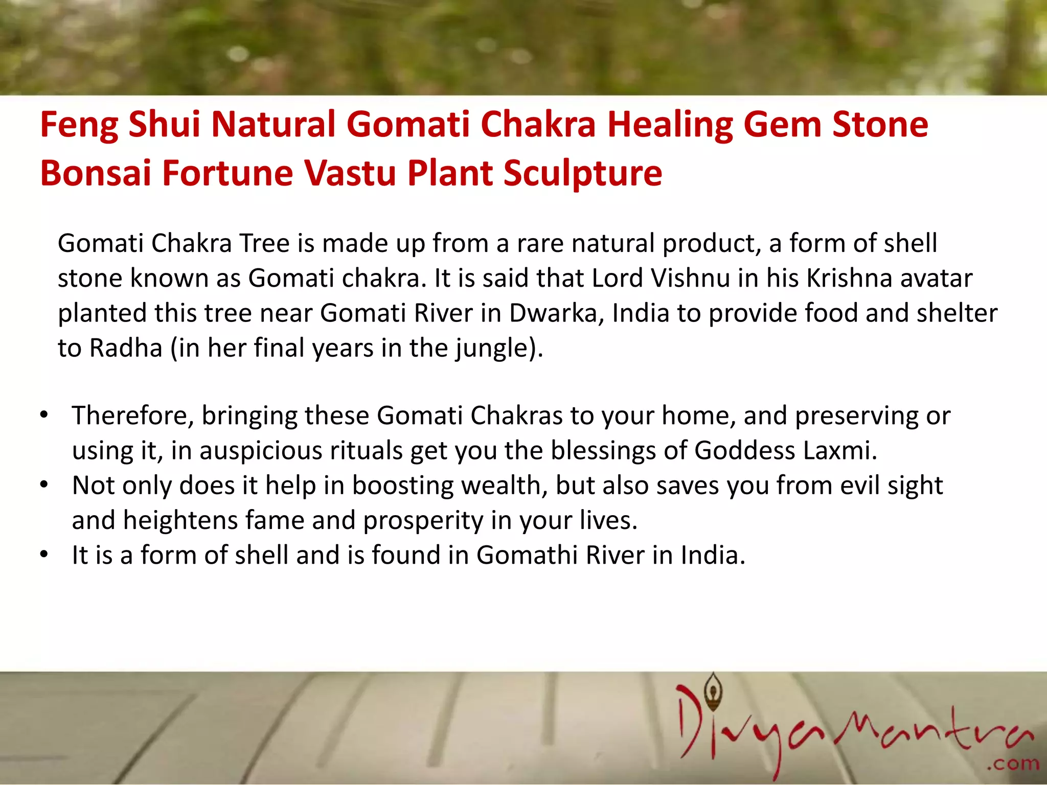 Feng shui natural gomati chakra healing gem stone bonsai fortune vastu ...