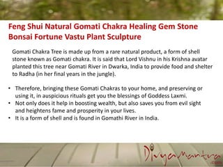 Feng shui natural gomati chakra healing gem stone bonsai fortune vastu ...