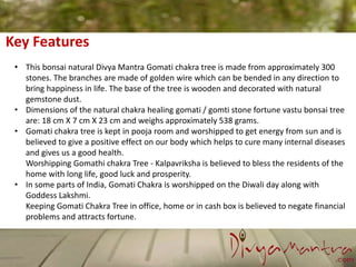 Feng shui natural gomati chakra healing gem stone bonsai fortune vastu ...