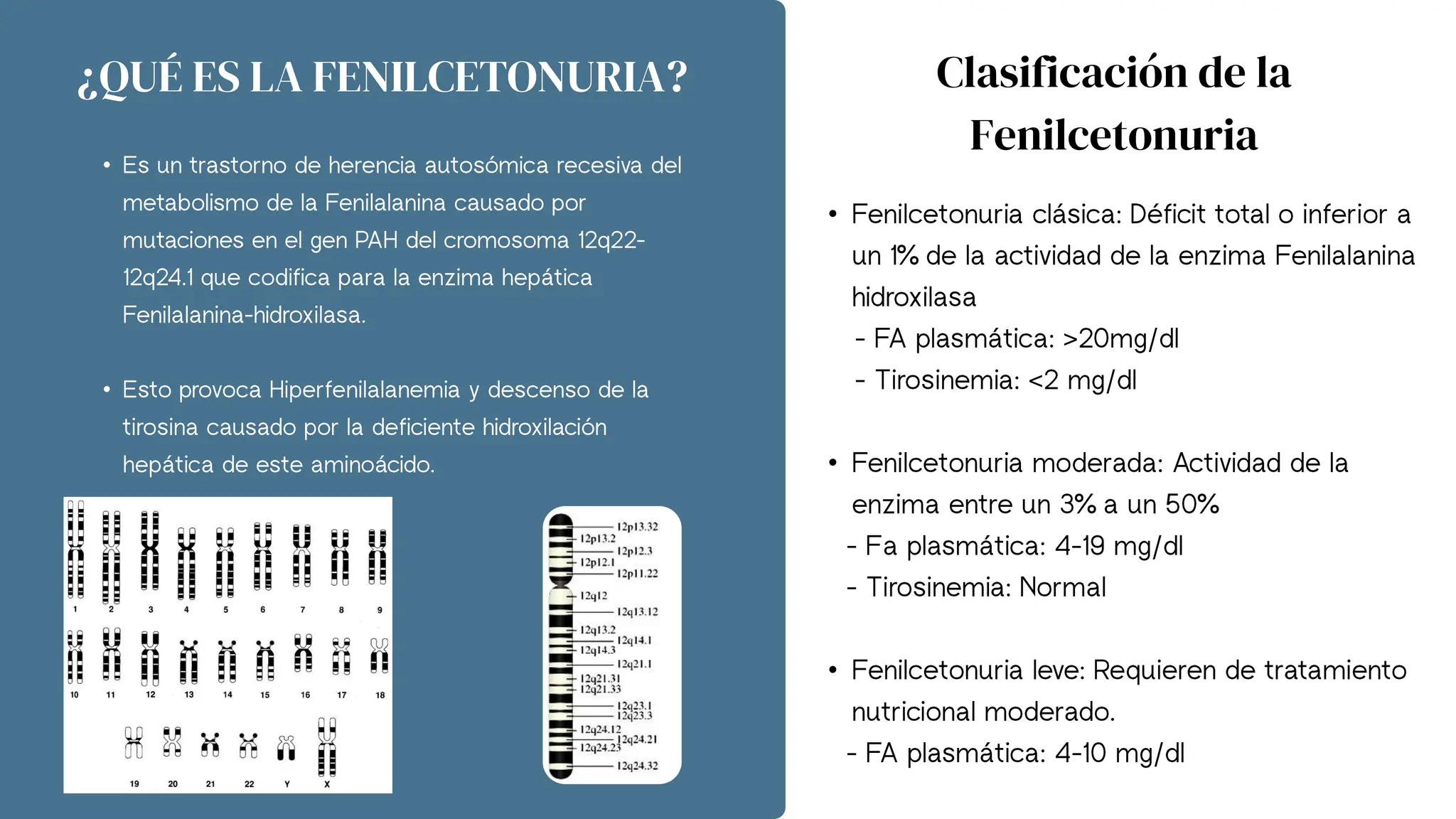 Power Point De La Fenilcetonuria A Nivel Genetico Y Quimico Molecular Ppt