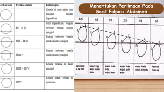 Pemeriksaan fisik Ibu hamil | PPTX