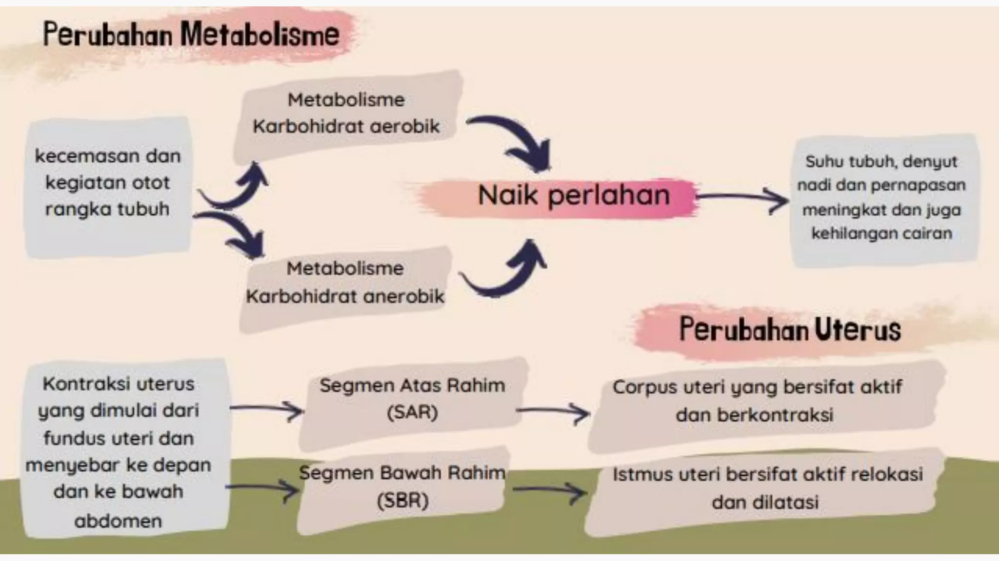 Perubahan fisiolog,asuhan sayang ibu,posisi meneran | PDF