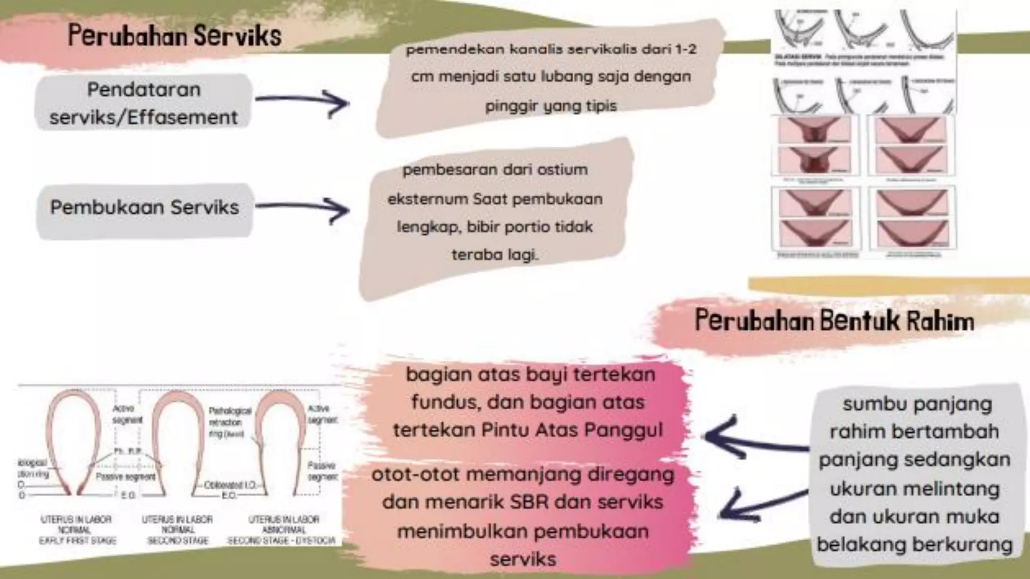 Perubahan fisiolog,asuhan sayang ibu,posisi meneran | PDF