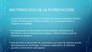 Fenómenos cadavéricos tempranos y tardios | PPTX
