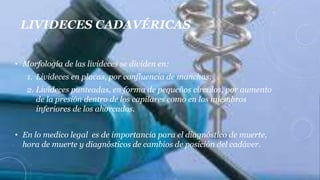Fenã³menos cadavã©ricos tempranos | PPTX