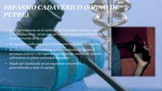 Fenã³menos cadavã©ricos tempranos | PPTX