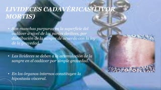 fenomenos cadavericos: Post Mortem Temprana | PPTX