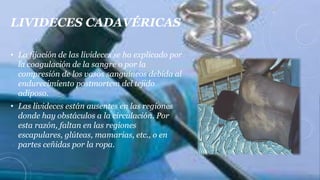fenomenos cadavericos: Post Mortem Temprana | PPTX