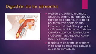 Explicación de fenómenos químicos | PPTX