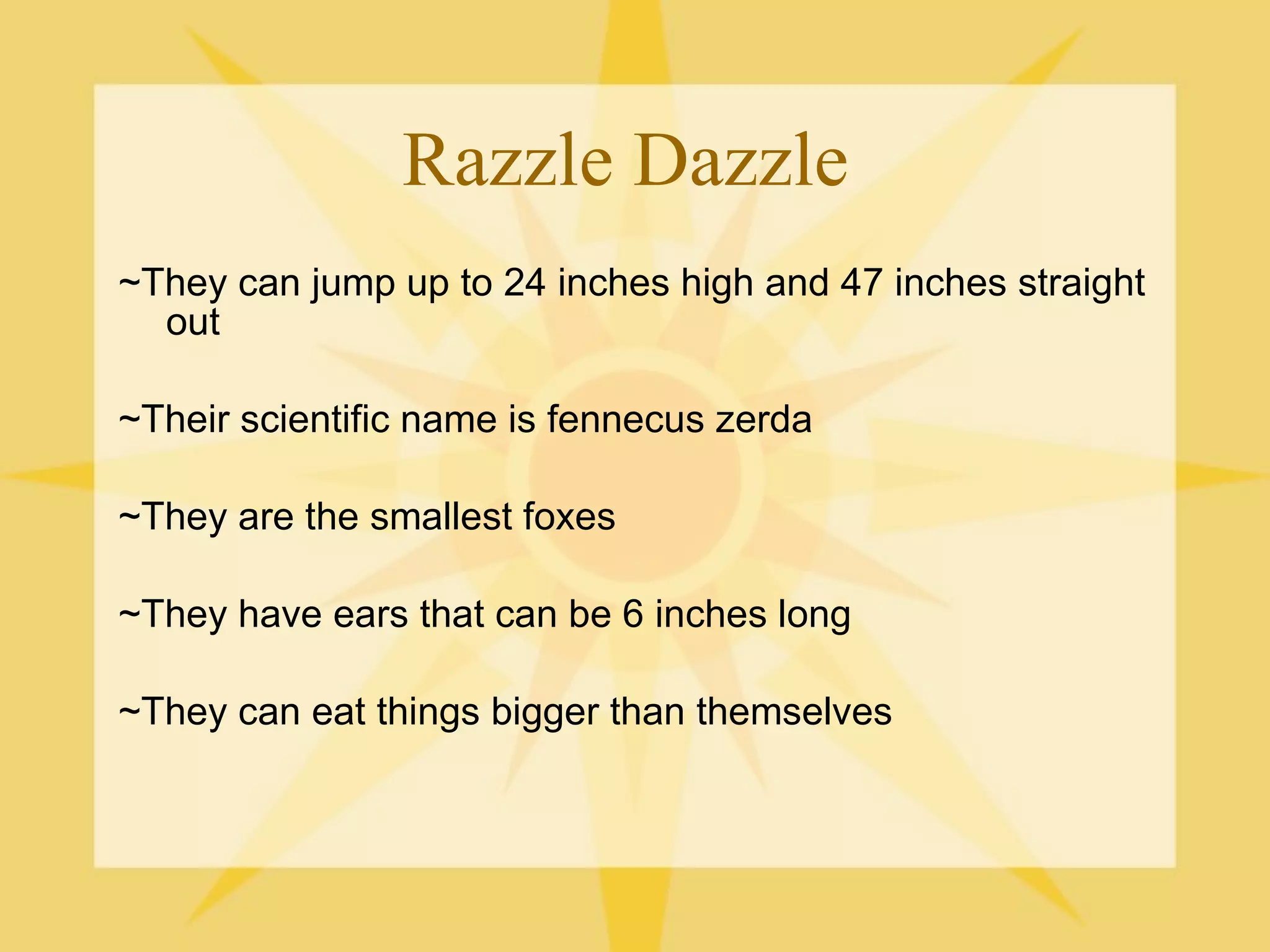 Fennec Fox | PPT