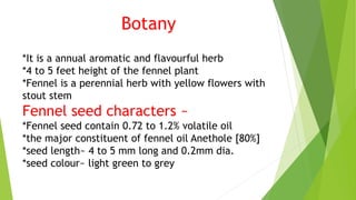 Fennel , CULTIVATION OF FENNEL , PRODUCTION TECHNOLOGY OF FENNEL , | PPTX