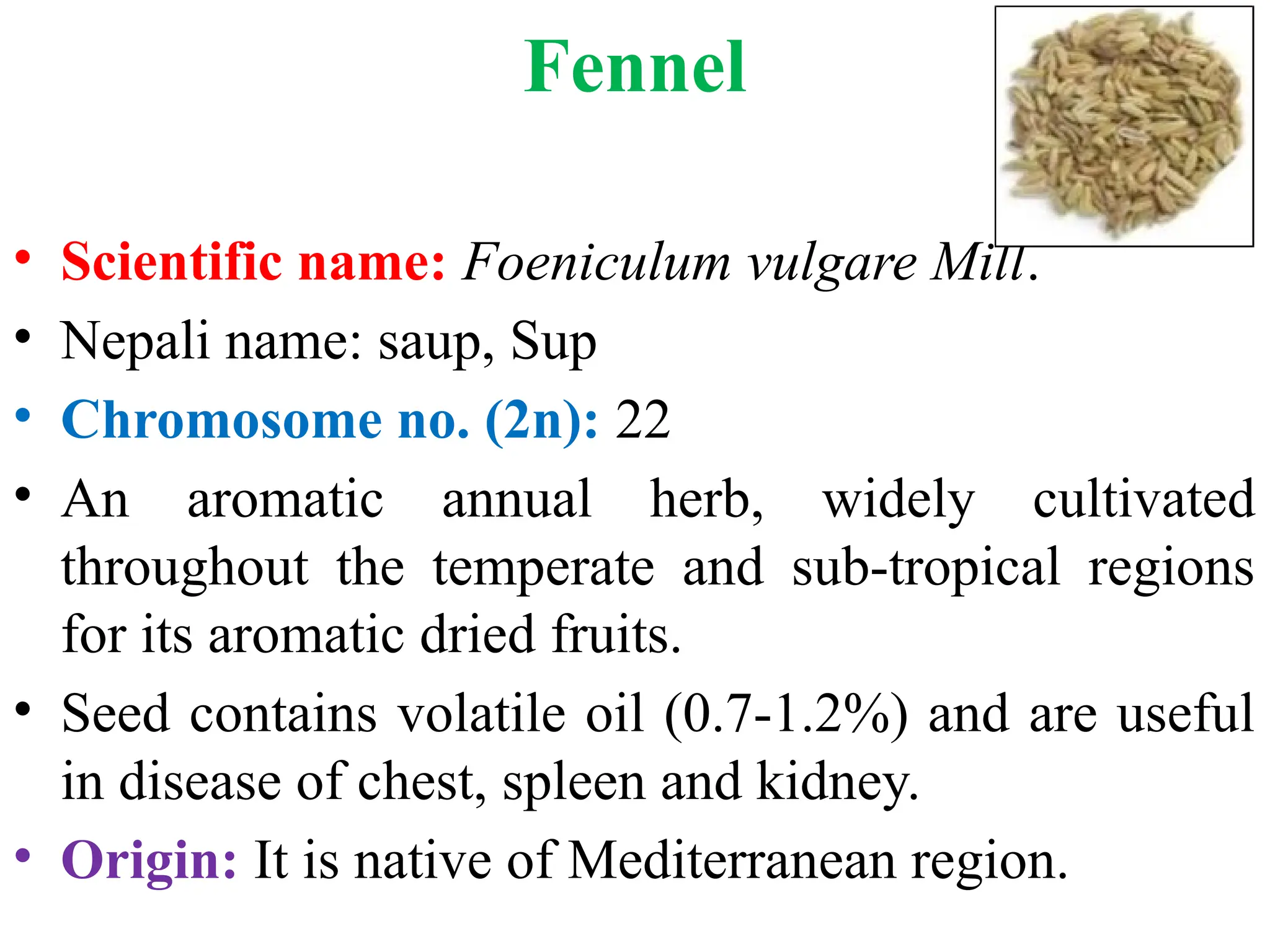 Cultivation Practice of Fennel in nepal.pptx