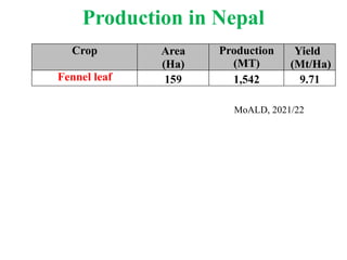 Cultivation Practice of Fennel in nepal.pptx