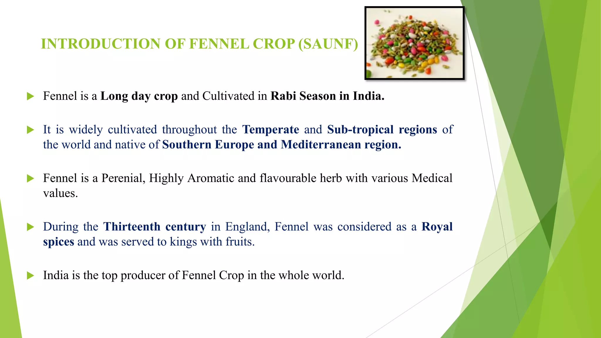 Seed Production and Floral Biology Fennel crop | PPTX