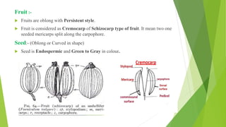 Seed Production and Floral Biology Fennel crop | PPTX
