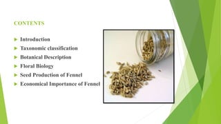 Seed Production and Floral Biology Fennel crop | PPTX