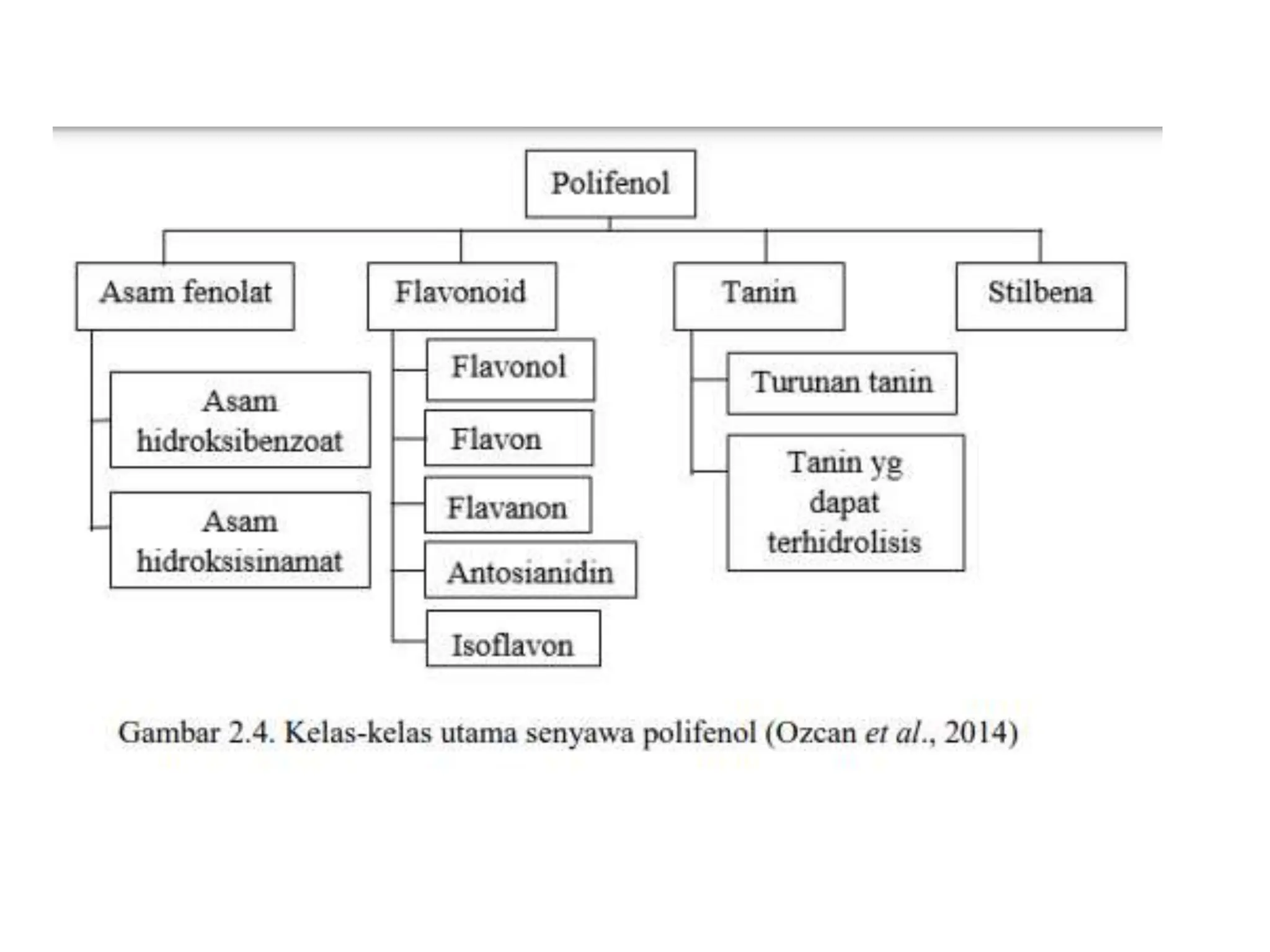 Fitokimia mengenai Pembahasan Fenol dan fenolik | PPT