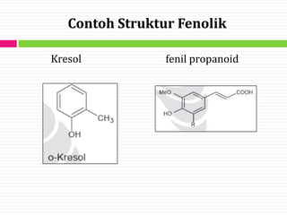 senyawa fenolik alam | PPTX