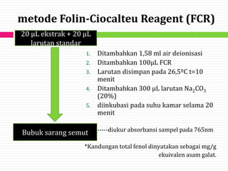 senyawa fenolik alam | PPTX