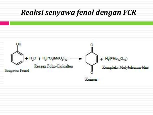 senyawa fenolik alam