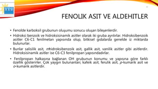 Fenoli̇k bi̇leşi̇klerin etki̇leri̇ ve önemi̇ | PPTX