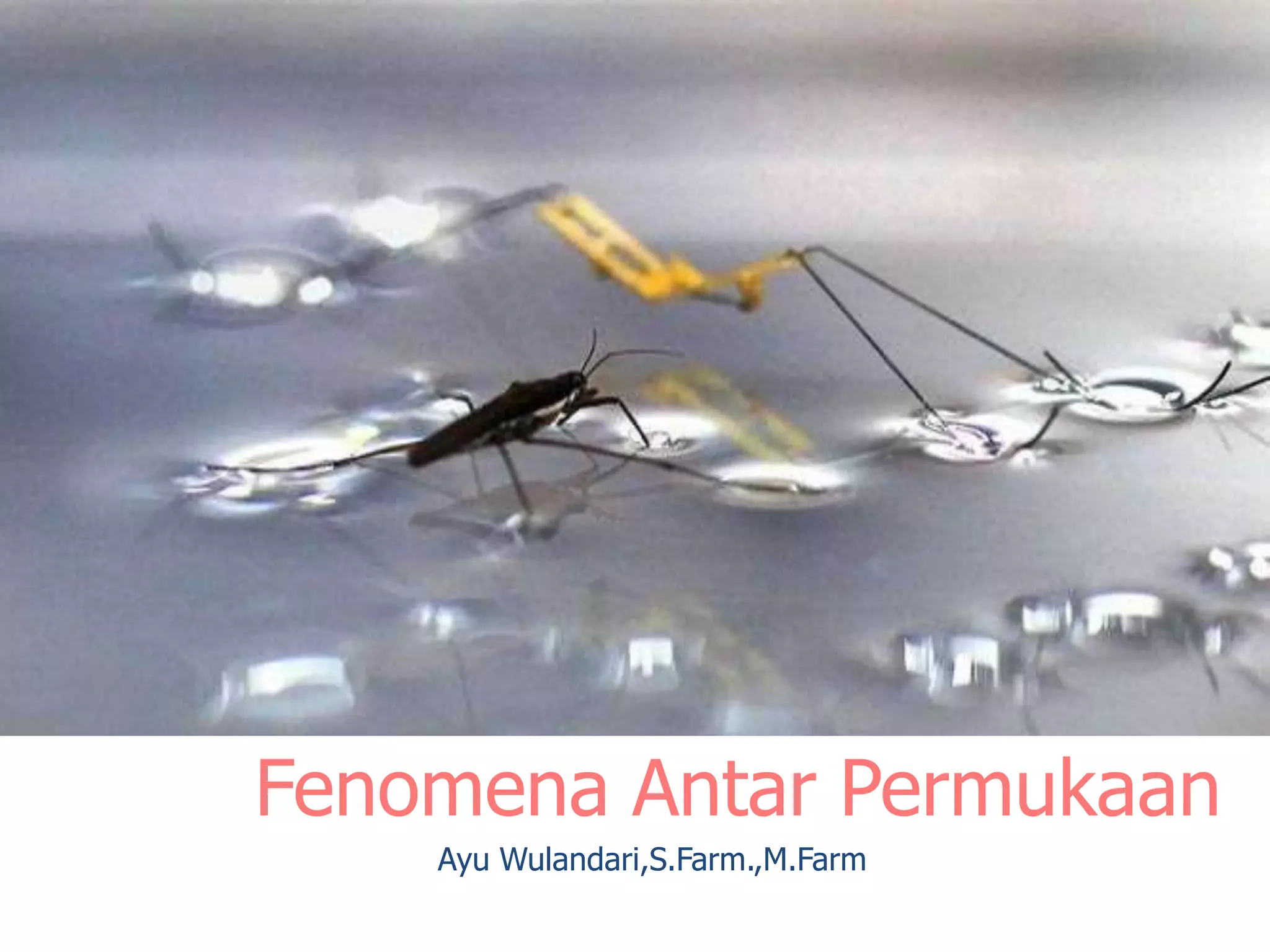 Fenomena Antar Muka.pptx