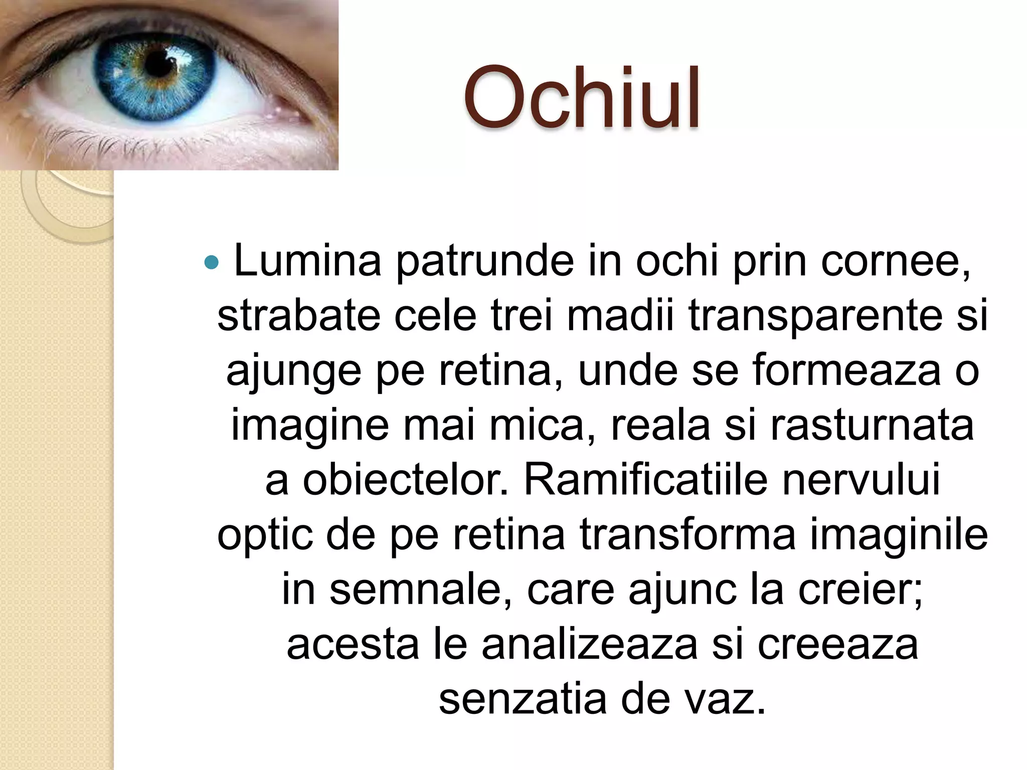 Fenomene optice 2003 | PPTX