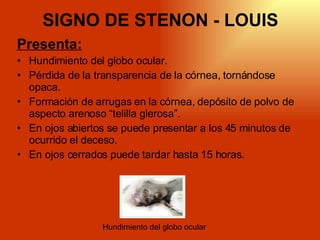Fenómenos Cadavéricos( Exam) | PPT
