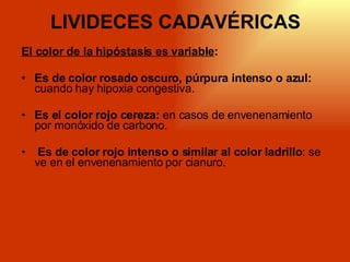 Fenómenos Cadavéricos( Exam) | PPT