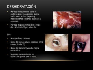 Fenomenos cadavericos | PPTX