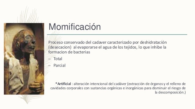 Fenomenos cadavericos