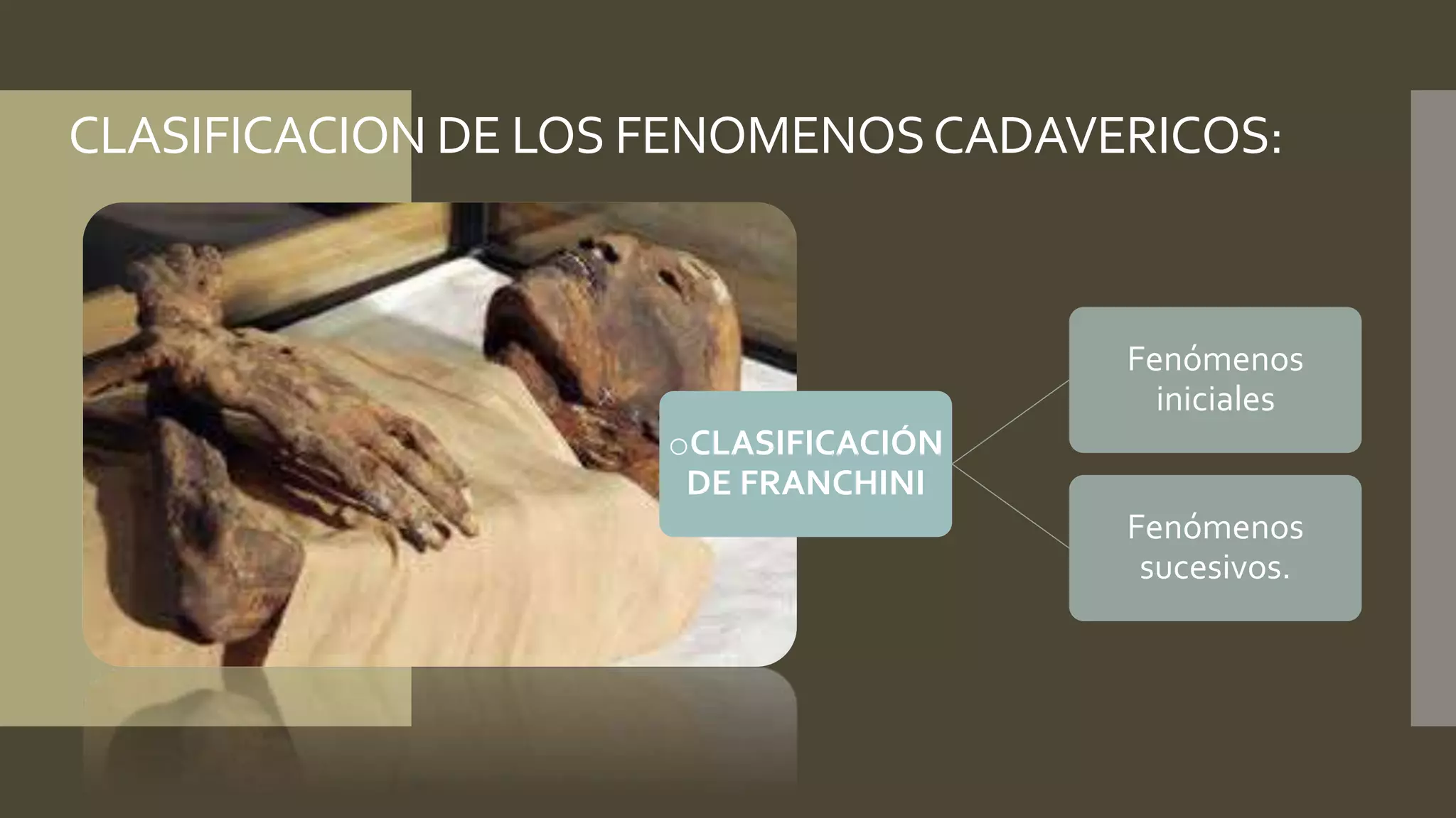 Fenomenos cadavericos | PPTX