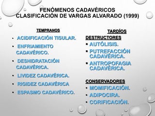 Fenomenos cadavericos | PPTX