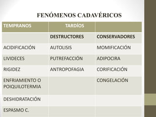 FENOMENOS_CADAVERICOS.ppt